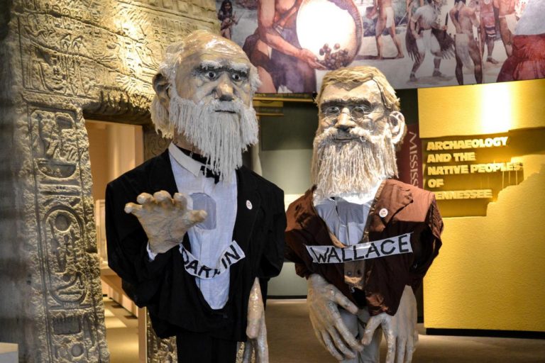 Darwin Day Celebrations 2018 – Time Scavengers