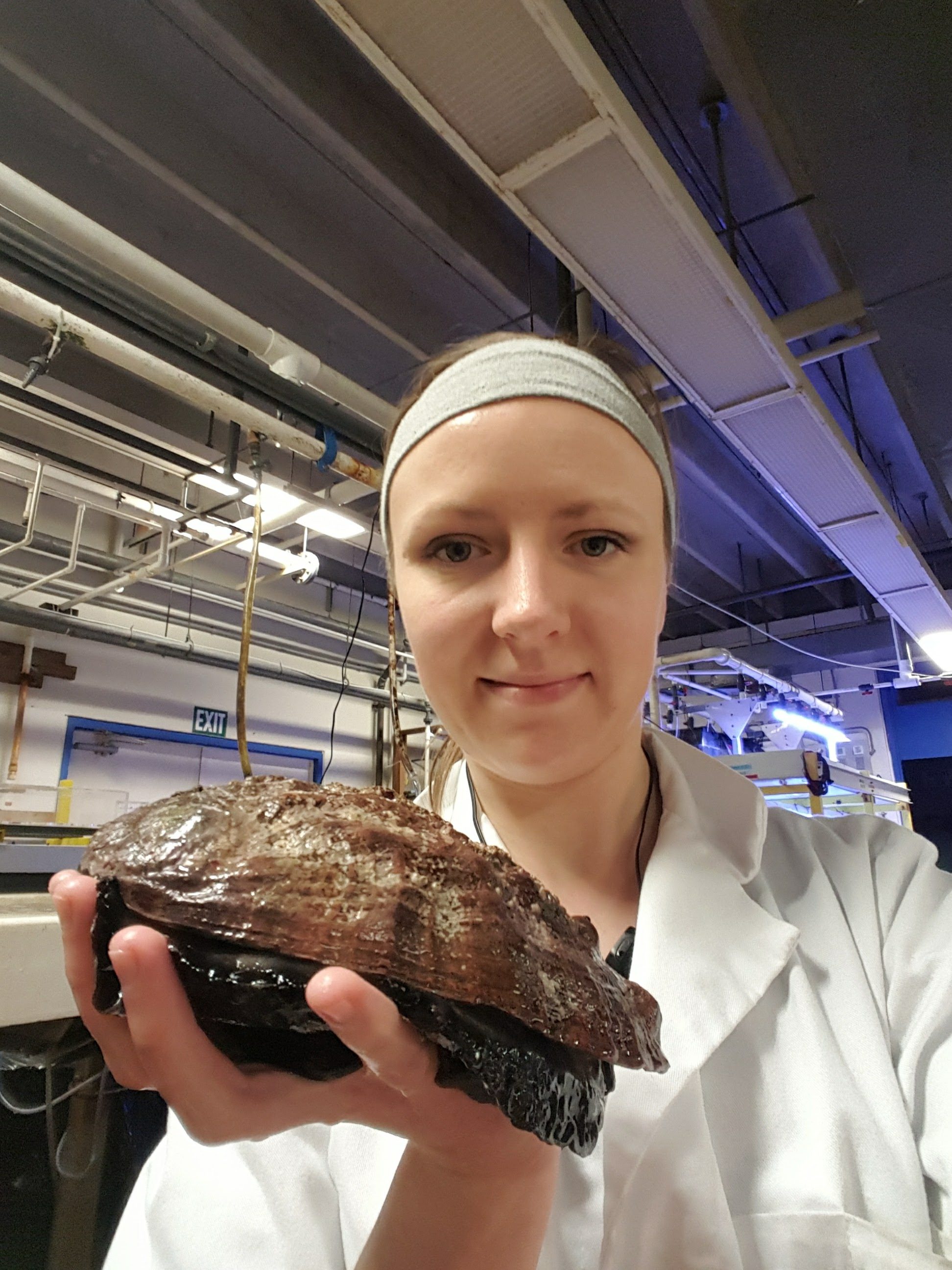 Shelfie with a red abalone (Bodega Marine Lab) – Time Scavengers