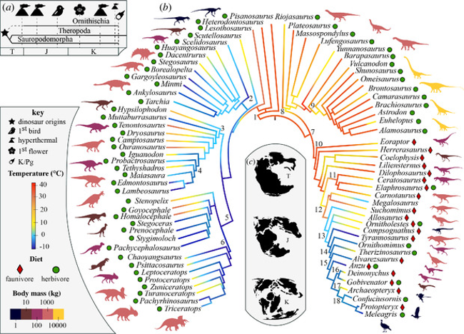 How Biogeographic Trends Influenced Ecological Adaptations in Mesozoic ...